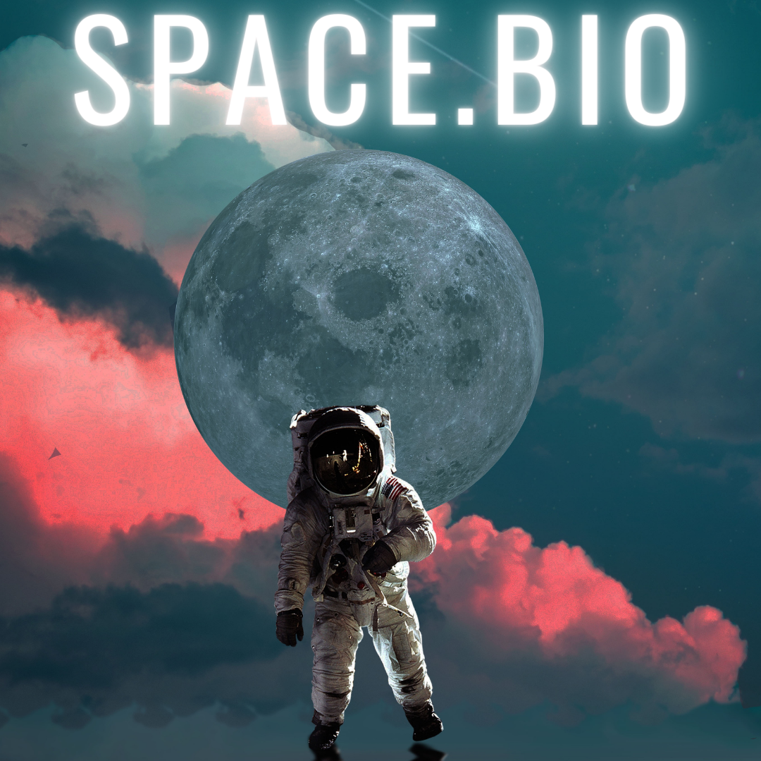 Space.Bio | popX: Tech Domain Boutique